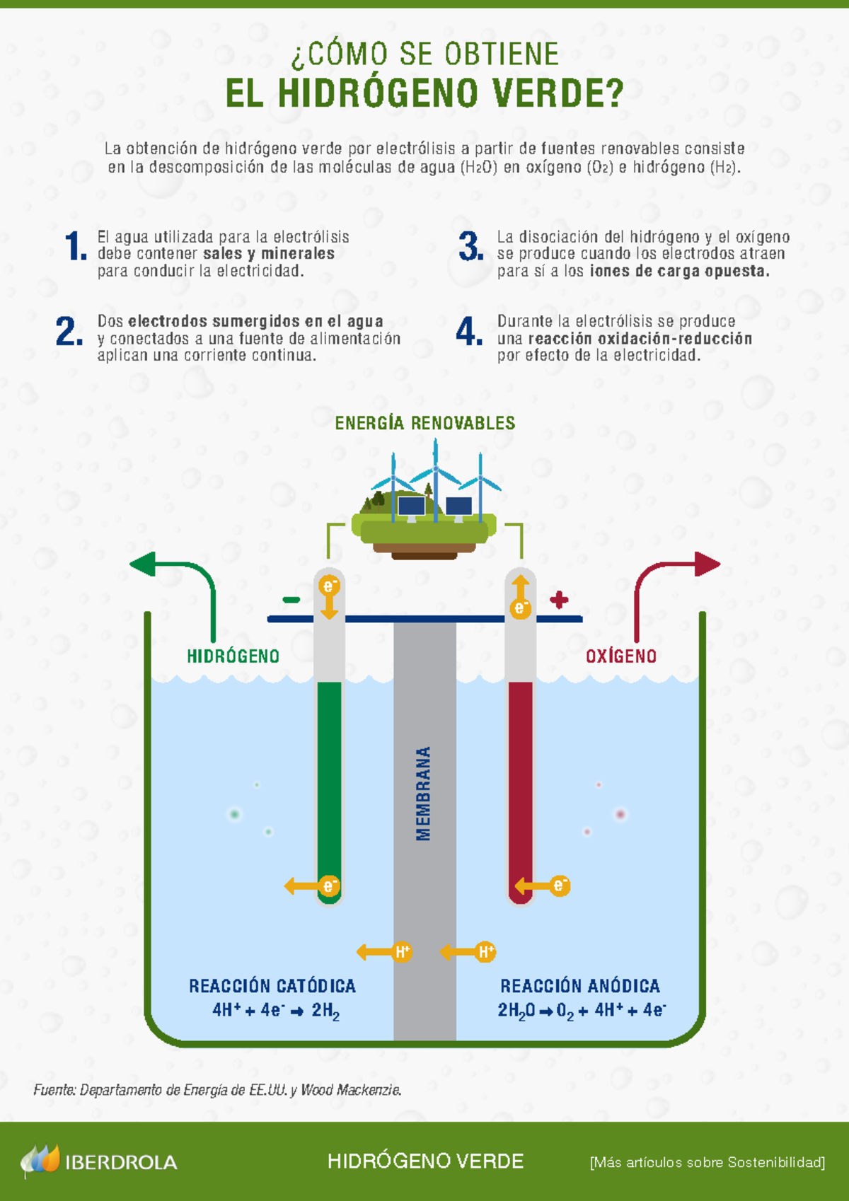 Infografia Hidrogeno Verde - H+ H+ e- e- e- e- ¿CÓMO SE OBTIENE EL ...