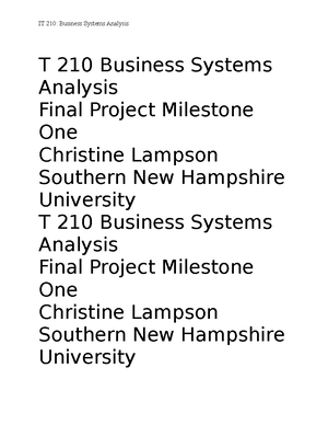 IT 210 Final Project - T 210 Business Systems Analysis Final Project ...
