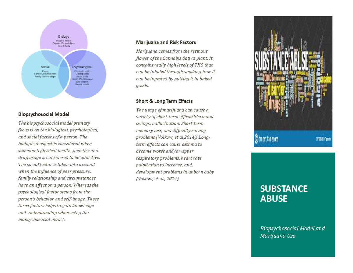 Substance Abuse Brochure - ####### Biopsychosocial Model The ...