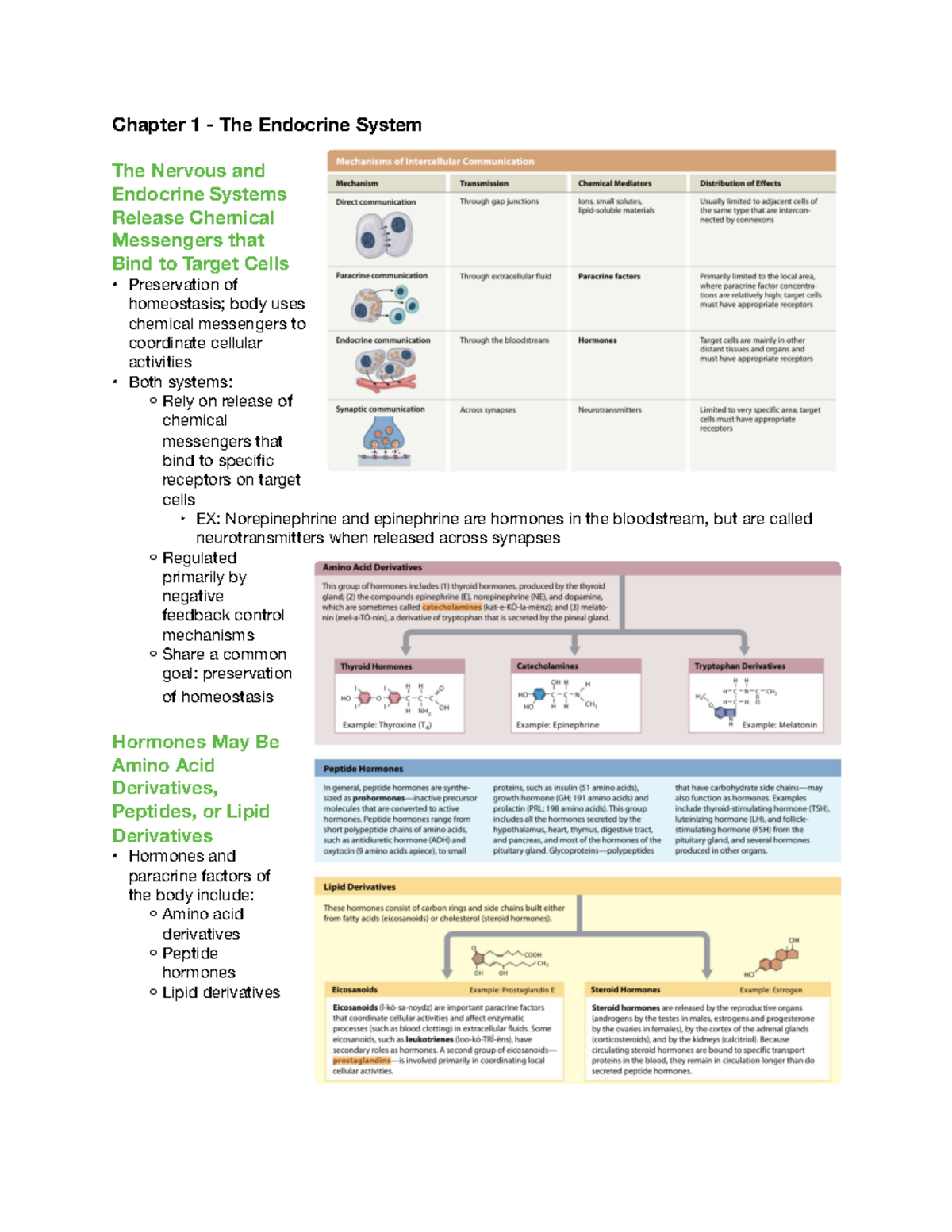 Ch.1 Endocrine System - Lecture notes over the hormones - Chapter 1 The ...