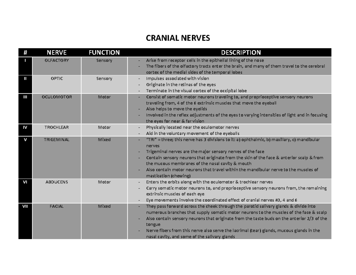 Nervous - SUPP - Cranial Nerves - Warning: TT: undefined function: 22 Warning: TT: undefined ...