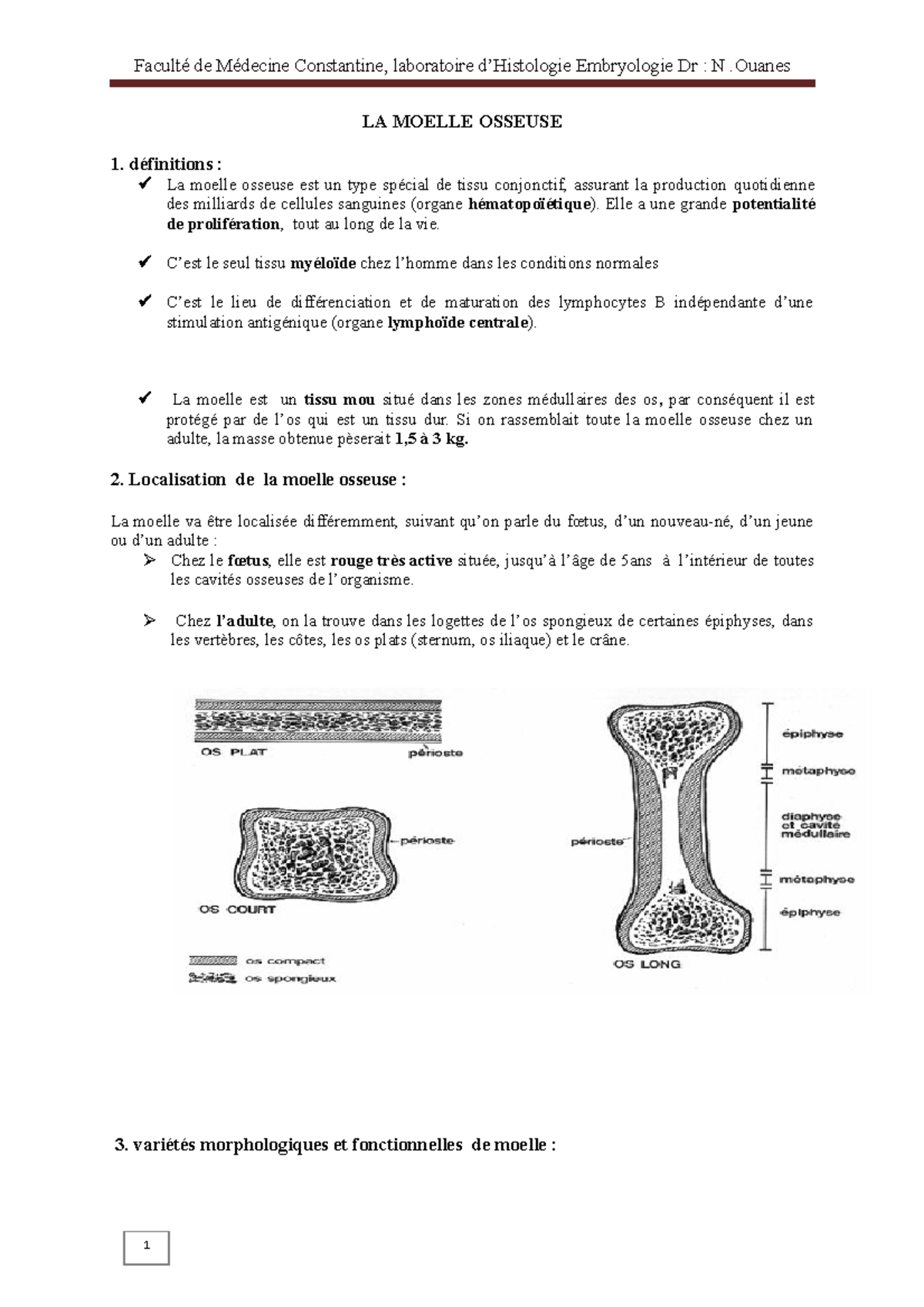 Mo-2021 - Biophisique - LA MOELLE OSSEUSE 1. définitions : La moelle ...