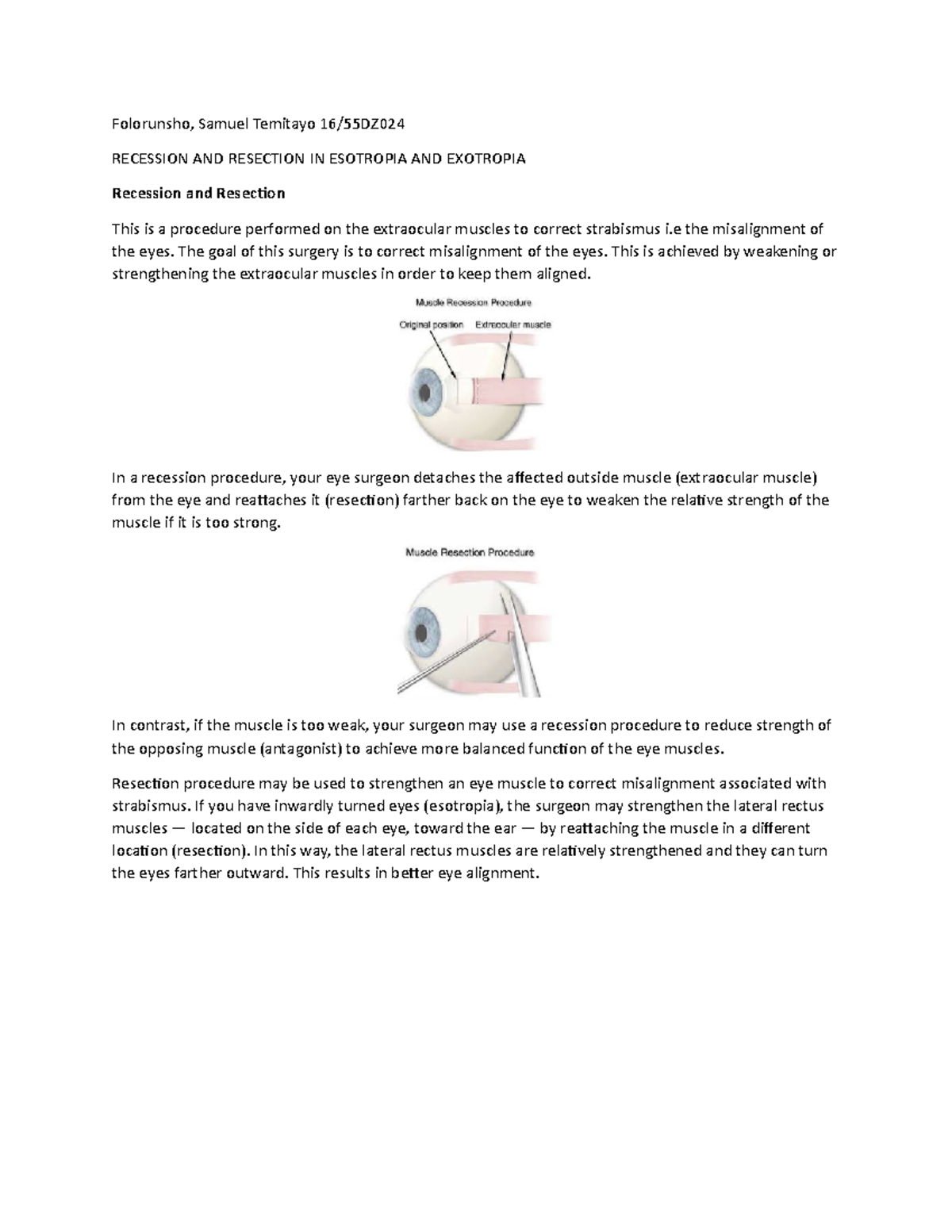 Assignment Document - Helpful content - Folorunsho, Samuel Temitayo 16 ...