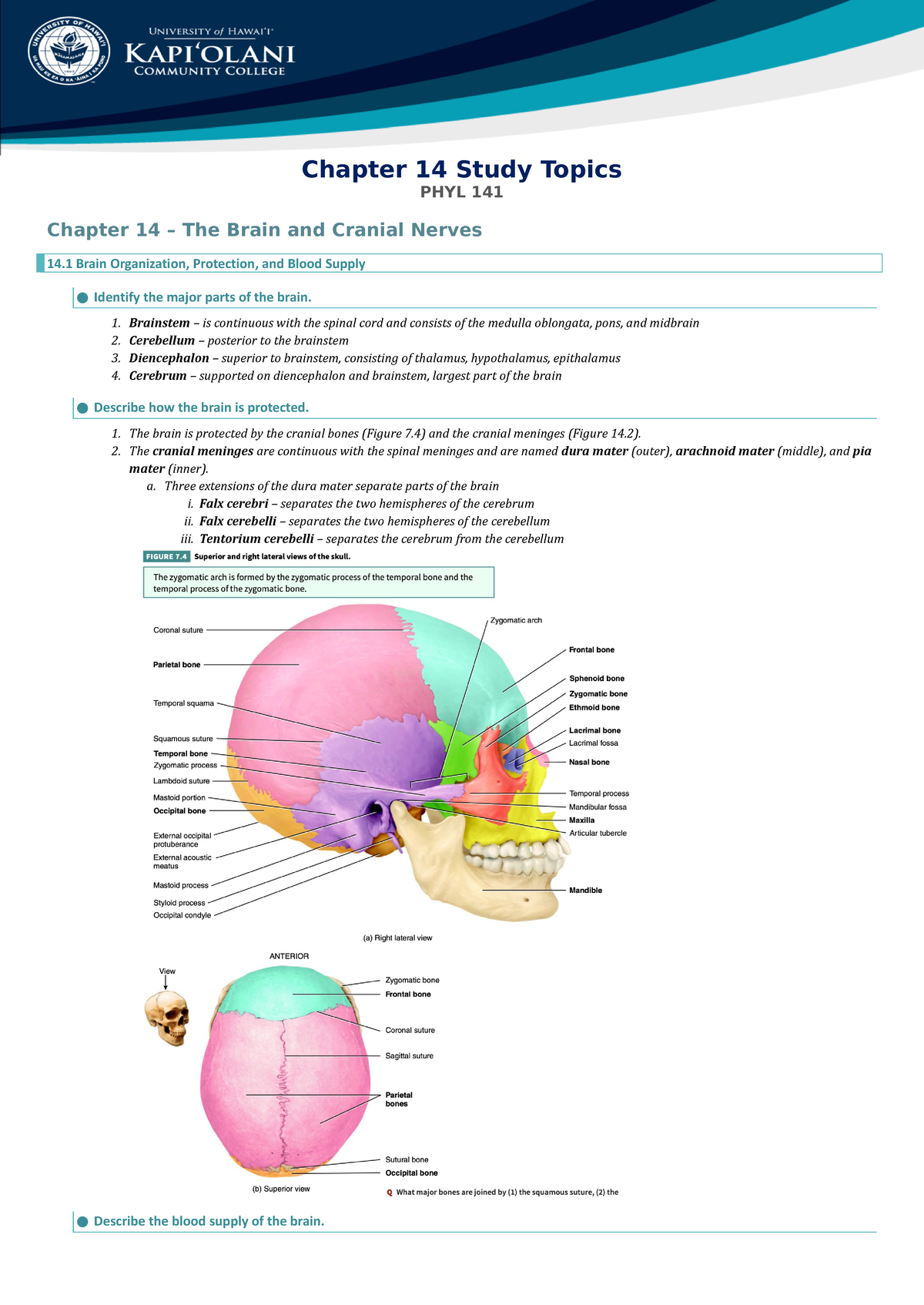 Chapter 14 Study Topics - Chapter 14 Study Topics PHYL 141 Chapter 14 ...