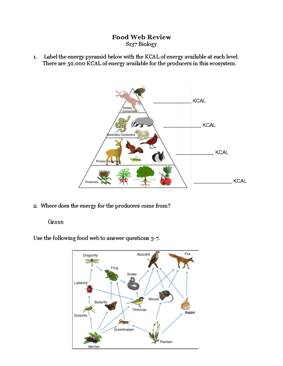 Food Web Quiz Review - Essential Cell Biology - Food Web Review S137 ...