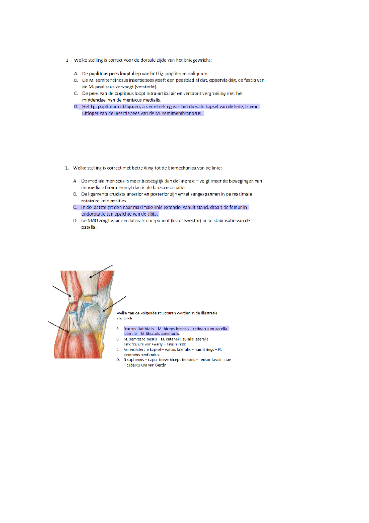 Voorbeeldvragen oplossingen onderste lidmaat functionele anatomie Tom ...
