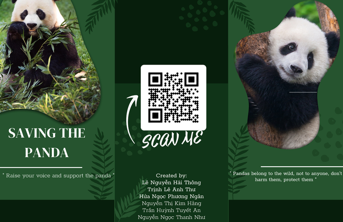 Brochure Group 1 - sbbab b - Nguyên lý kế toán - SAVING THE PANDA ...