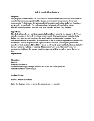 Human Biology (BSC 2020) - lecture notes on Human Biology (BSC 2020 ...