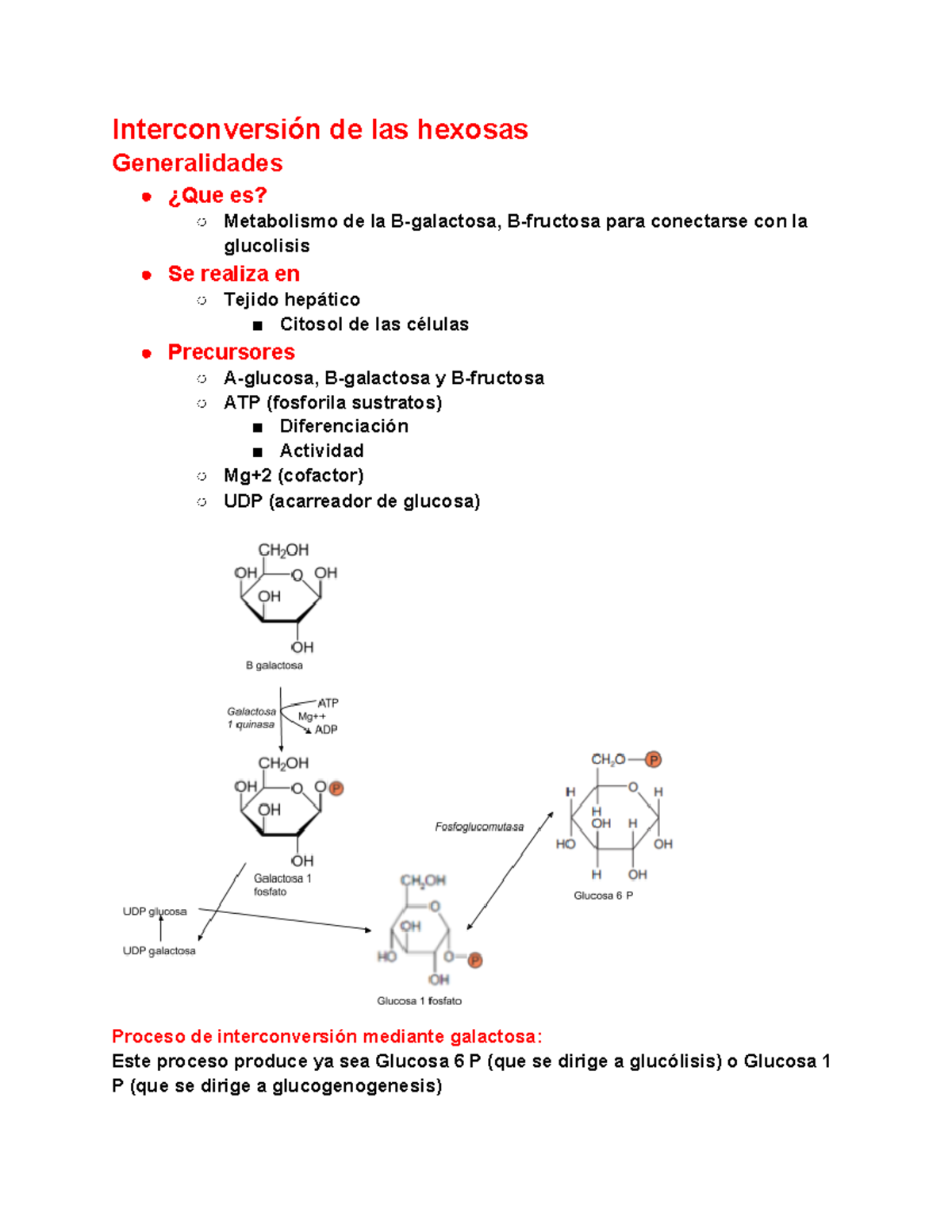 Bioquimica vias metabolicas - Interconversión de las hexosas ...