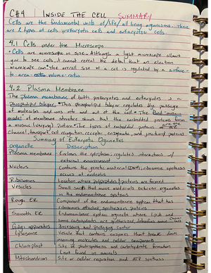 Bio chapter 6 - Biology - Chapter 6 What are grana? 1-Stacks of ...