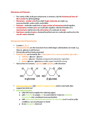 Practical 1 - Investigating the effect of pH on amylase activity ...