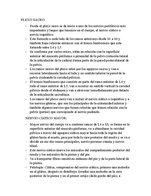 Cadena simpático torácica o tronco simpático torácico - Cadena ...