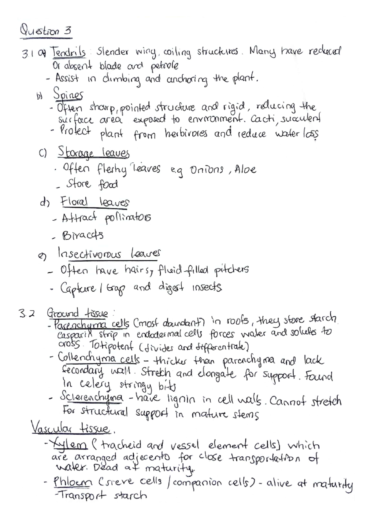 Modified leaves - BOT1501 - Studocu