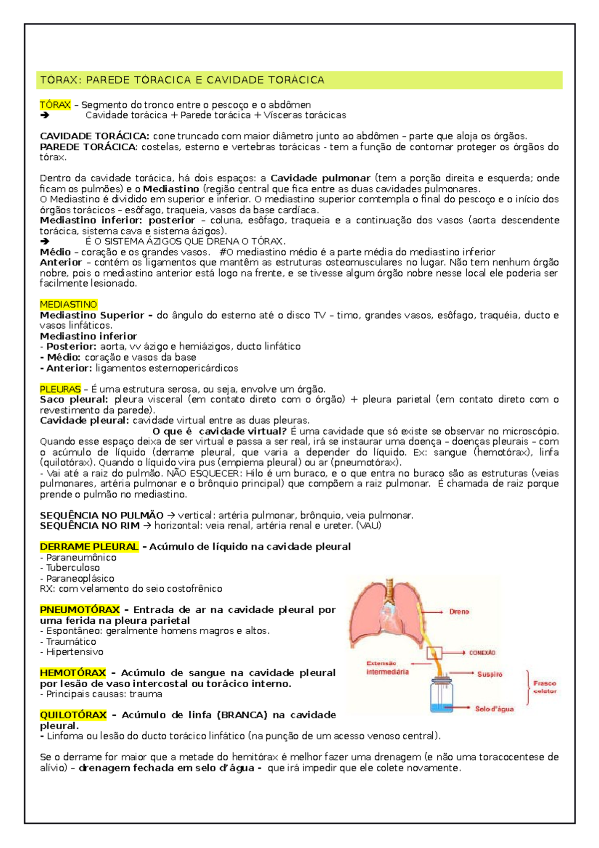 Tórax Parede Torácica E Cavidade Torácica - TÓRAX: PAREDE TÓRACICA E ...