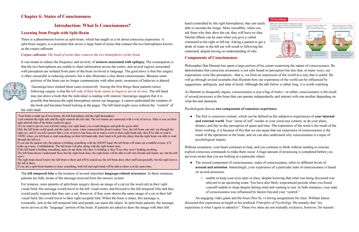 Chapter 6 Consciousness - Introduction: What Is Consciousness?(6 ...