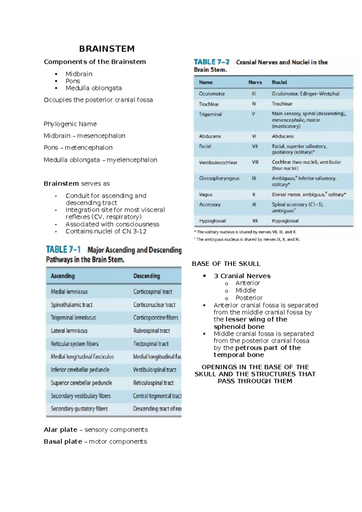 Brainstem Neuroanatomy - BRAINSTEM Components of the Brainstem Midbrain ...