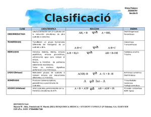Regiones CA1, CA2, CA3, CA4 Y GD - Regiones CA1, CA2, CA3 Y CA4 del ...