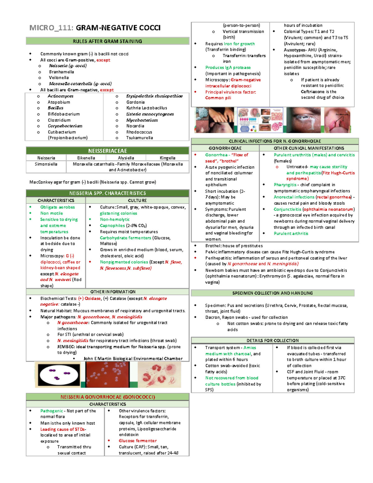 Micro Semis Gram Negative Cocci - MICRO_111: GRAM-NEGATIVE COCCI RULES AFTER GRAM STAINING - Studocu