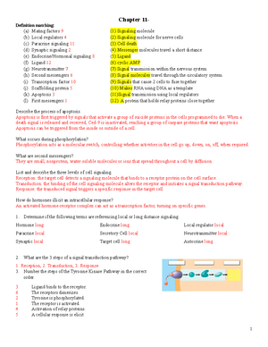 chapter 11 homework - Chapter 11- Name ...