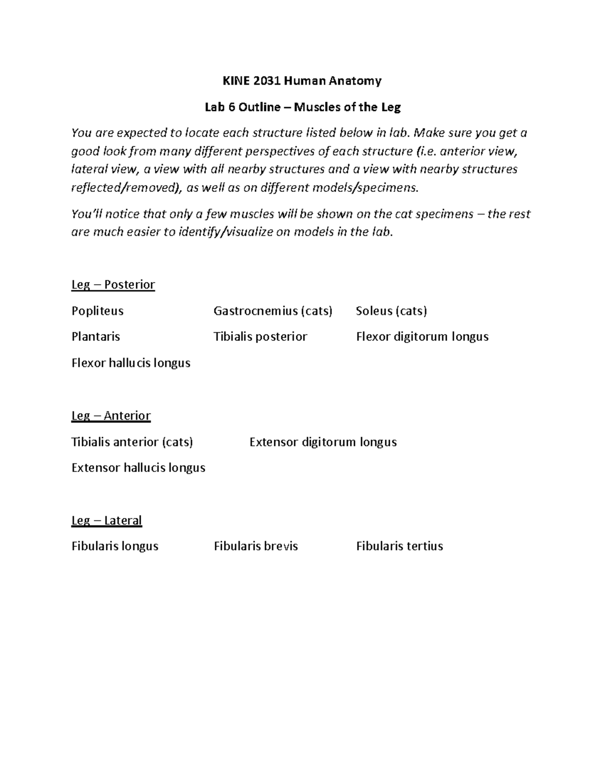 Lab 6 Outline - Muscles of the Leg - KINE 2031 Human Anatomy Lab 6 ...