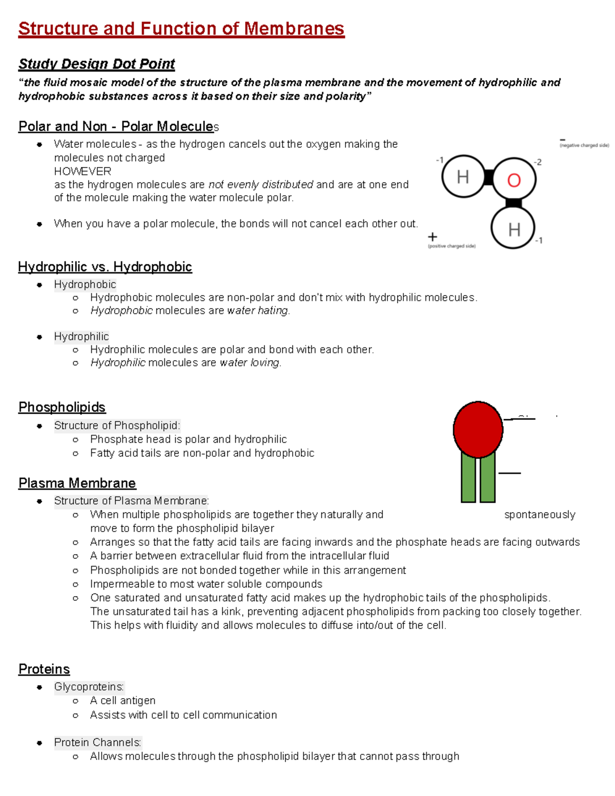 Biology Notes - all year - Structure and Function of Membranes Study ...