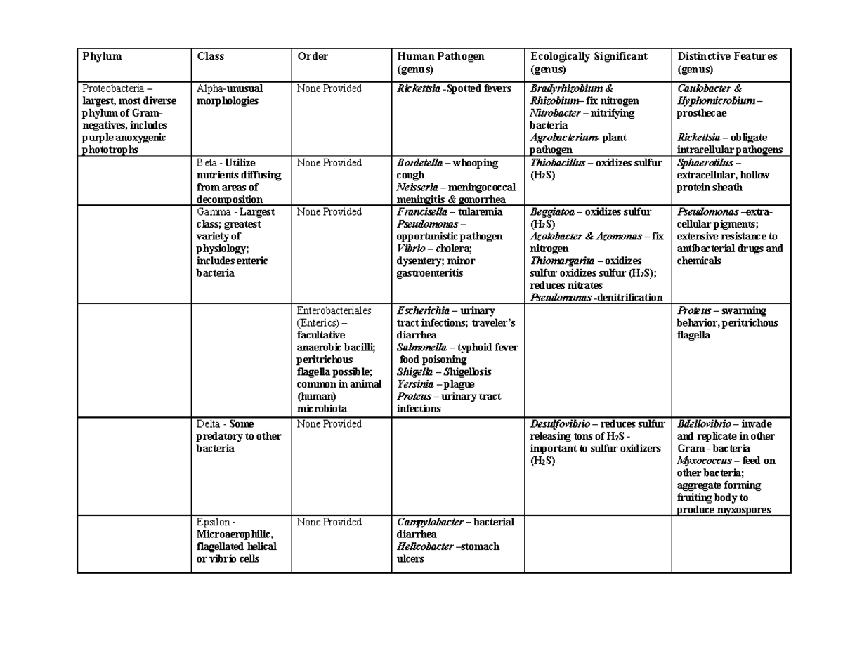 Bacterial Diversity Chart KEY - (genus) (genus) (genus) Proteobacteria ...