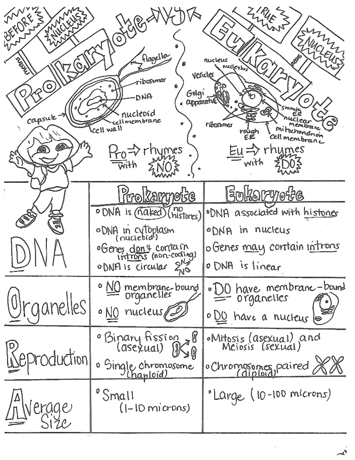AP Bio Ch 4 notes - CHM101 - Studocu