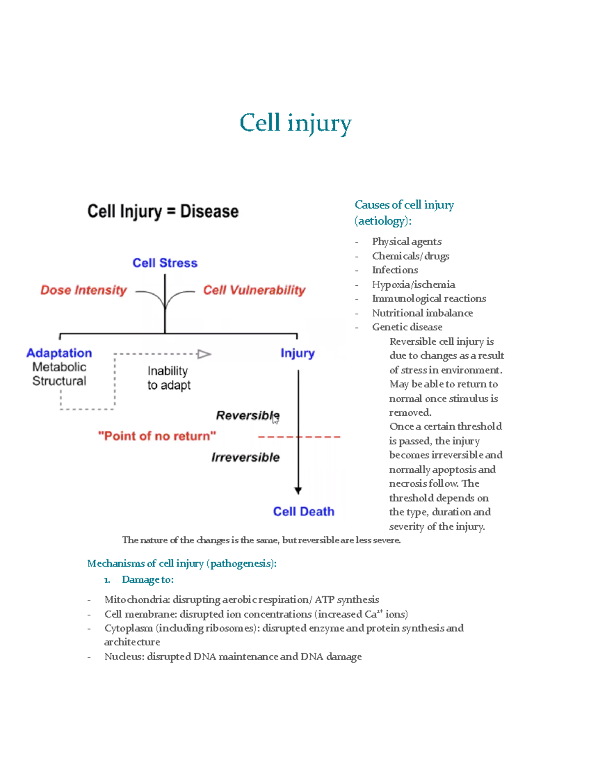 Cell injury week 3! - Cell injury Causes of cell injury (aetiology ...