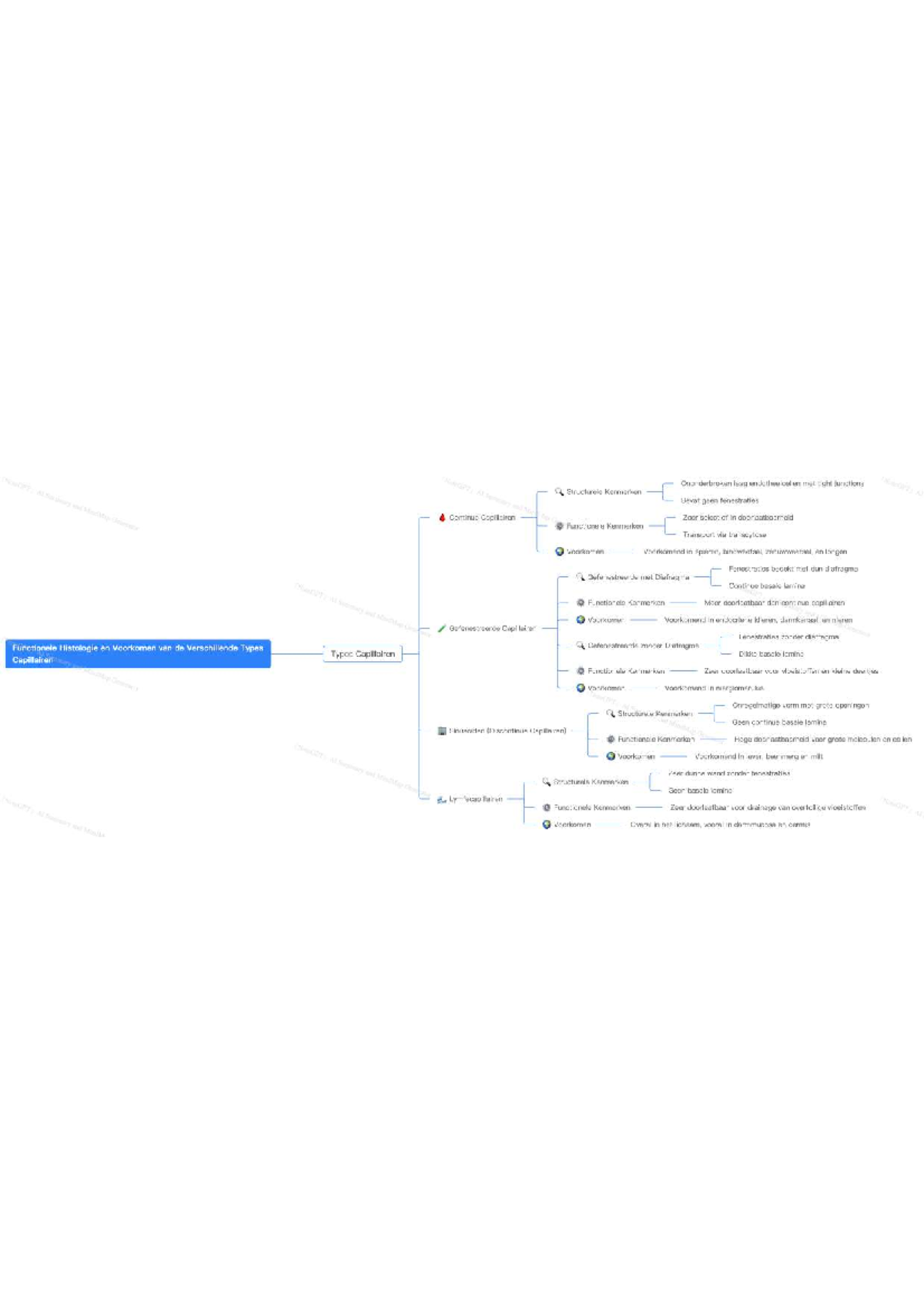 Soorten capillairen - les 1 histologie - Onanderbroken laag ...