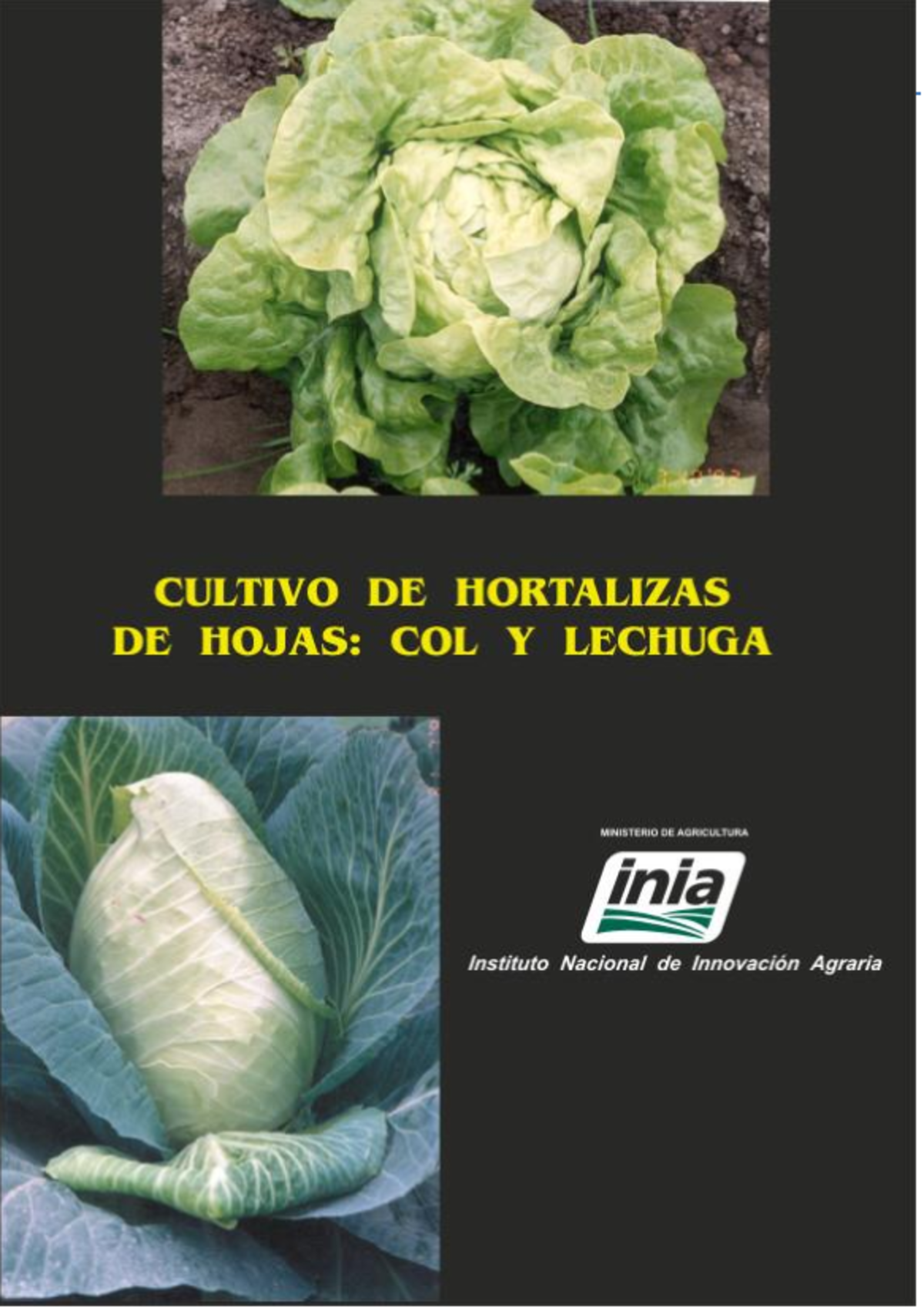 Valencia-Cultivo hortalizas hojas col y lechuga - INSTITUTO NACIONAL DE ...