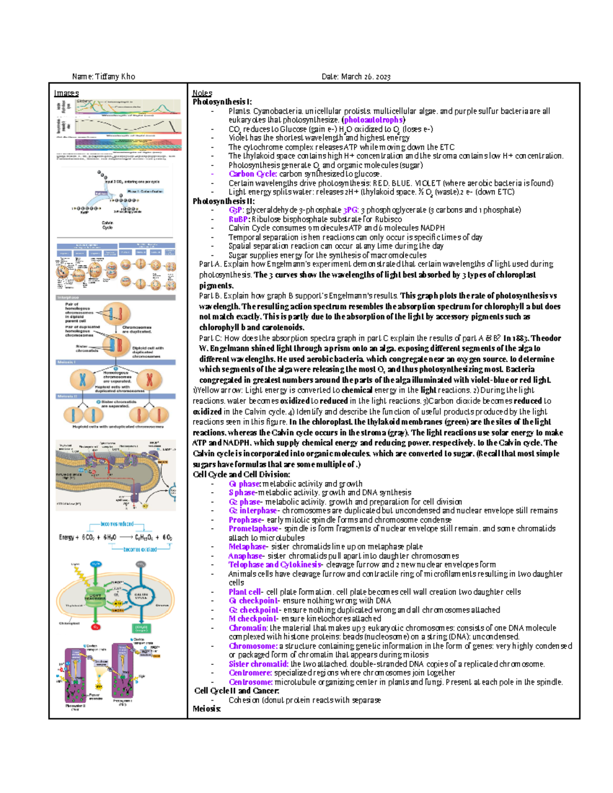 Cornell Notes - Google Docs - Name: Tiany Kho Date: March 26, 2023 ...