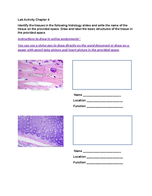 HOL lab Cellular- respiration - (/#/home) Home (myhol.holscience ...
