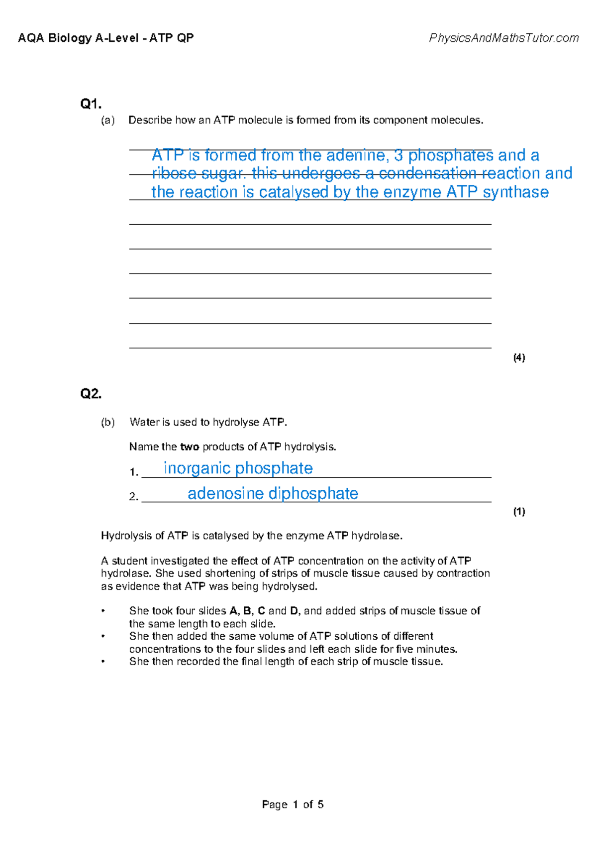 ATP - Biological molecules exam questions - Q1. (a) Describe how an ATP ...