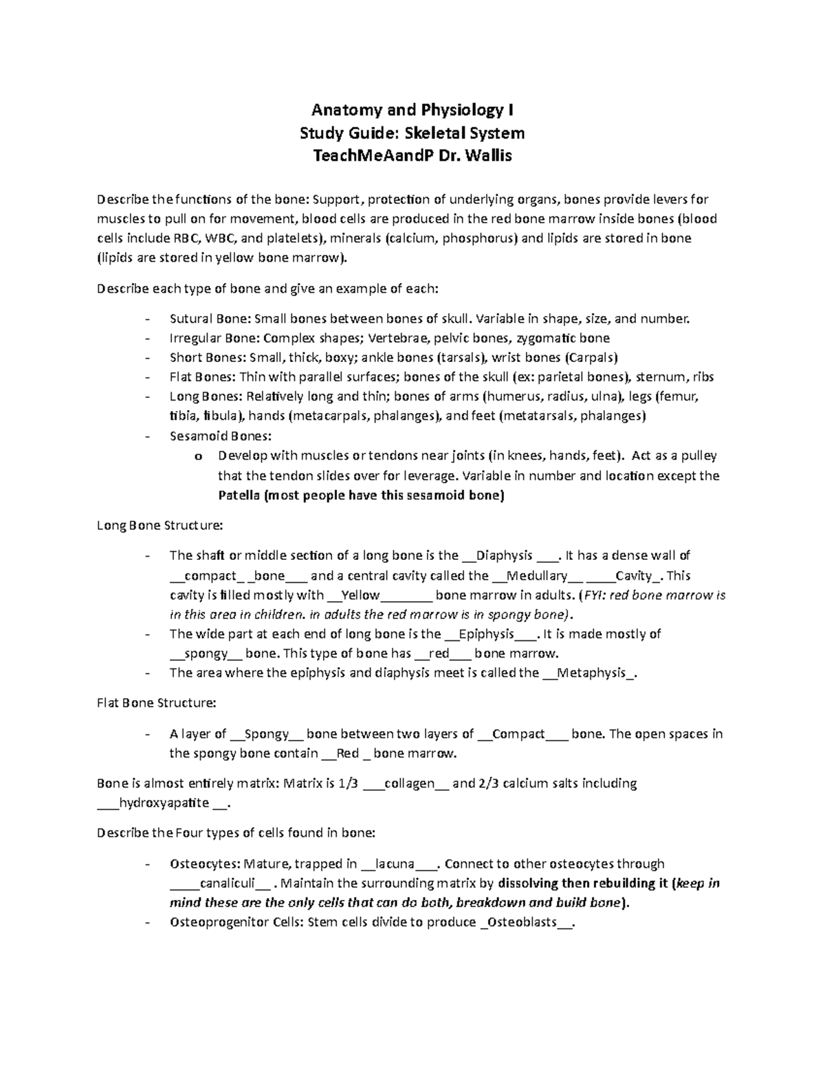 API Study Guide KEY Skeletal System - Anatomy and Physiology I Study ...