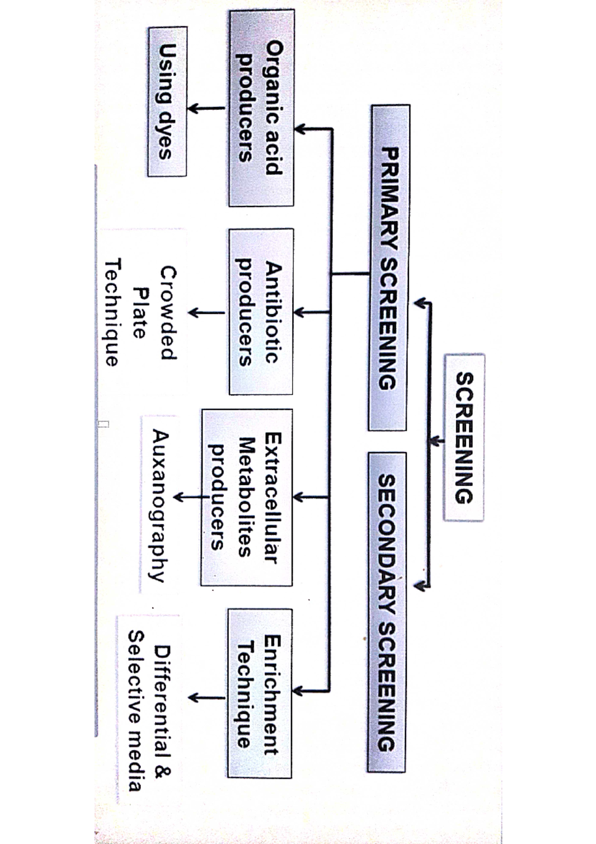 Industrial - General Microbiology - SCREENING PRIMARY SCREENING ...