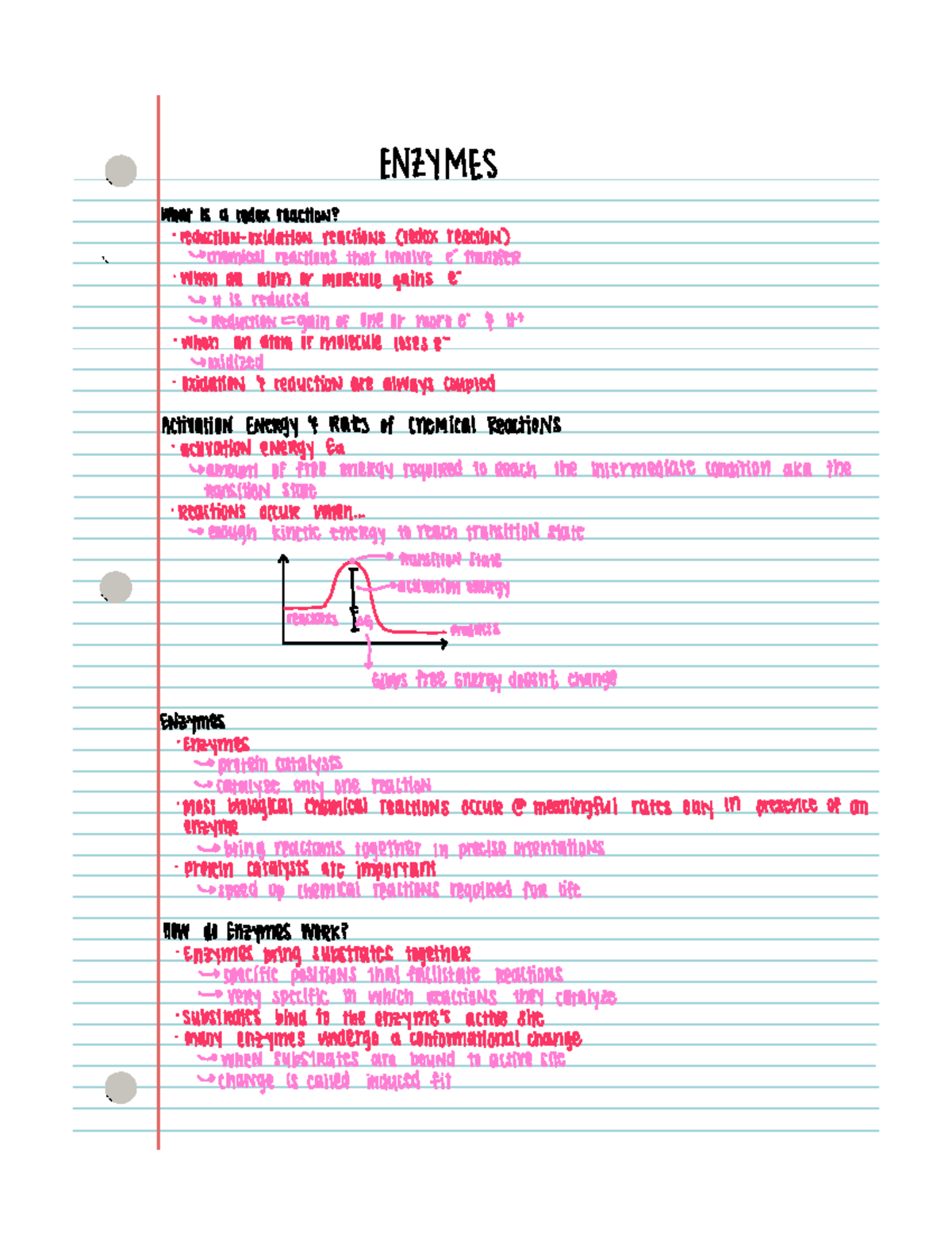 Note Feb 1, 2023 - Professor England Semester 2 Unit 1 Biology Notes ...