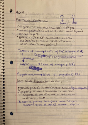Unit 4 - unit 4 notes - BIO 277 - Studocu