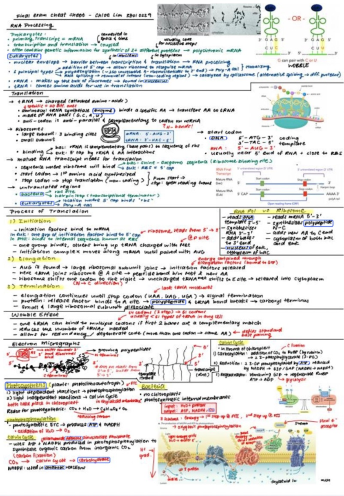 Cheat sheet - BIOL 112 - Studocu