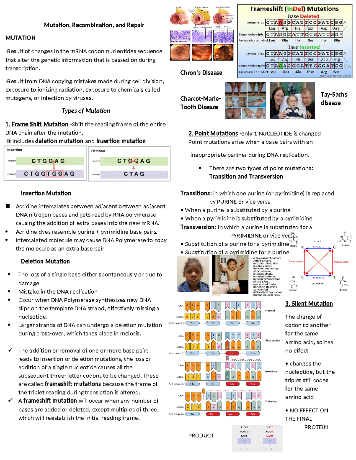 Cyto Semi notes Zeths - Mutation, Recombination, and Repair MUTATION ...