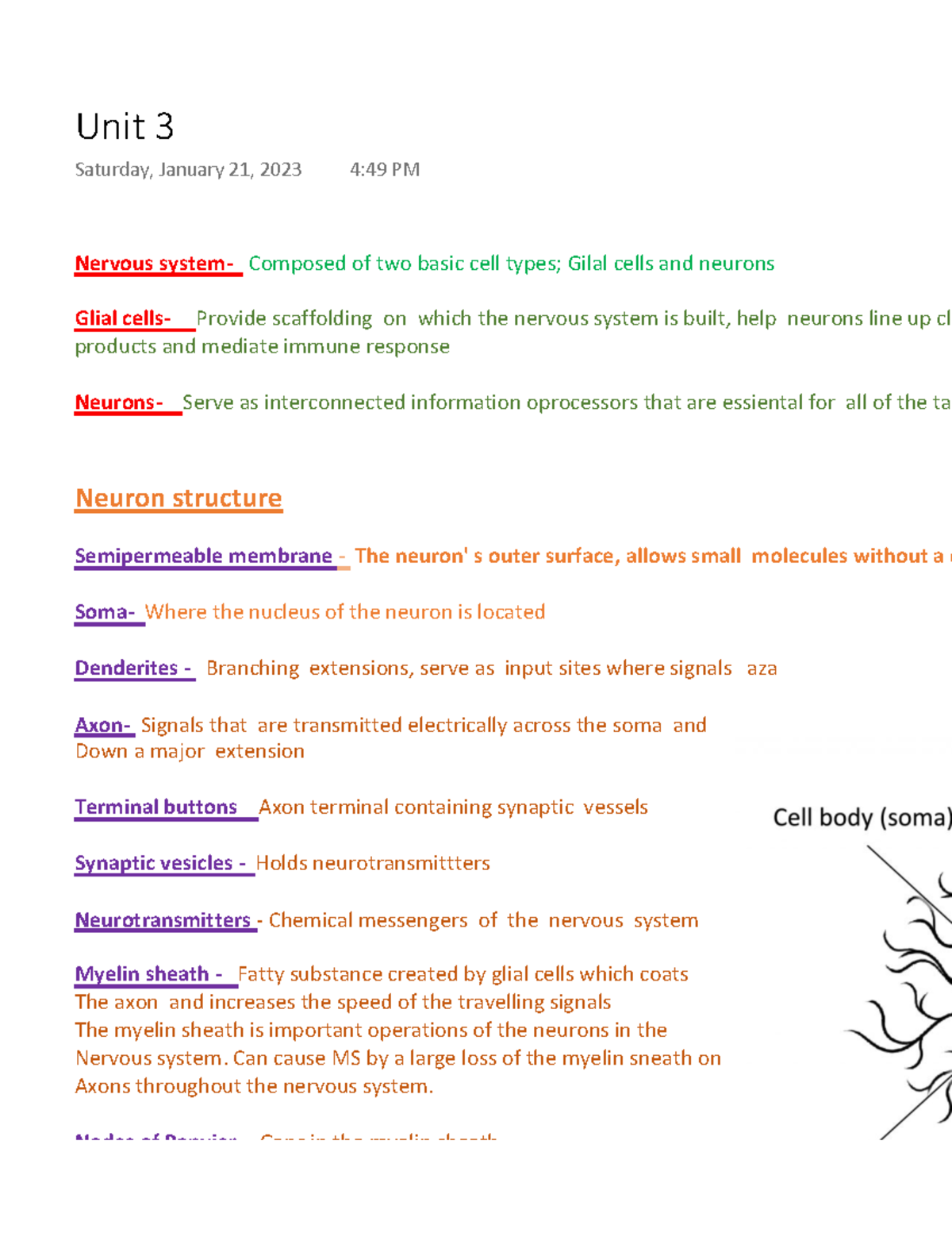 Unit 3 - unit 3 summary - Nervous system- Composed of two basic cell types; Gilal cells and ...