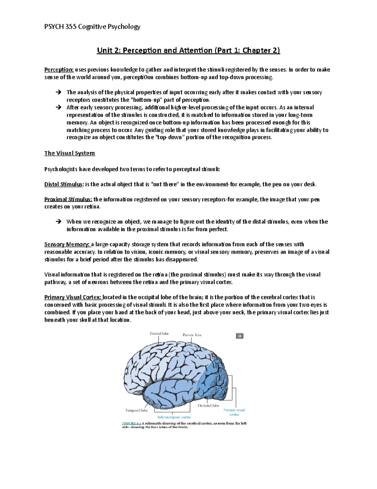 Lesson 2 Psych 355 - Notes on Chapter 2 in the textbook. - Unit 2 ...