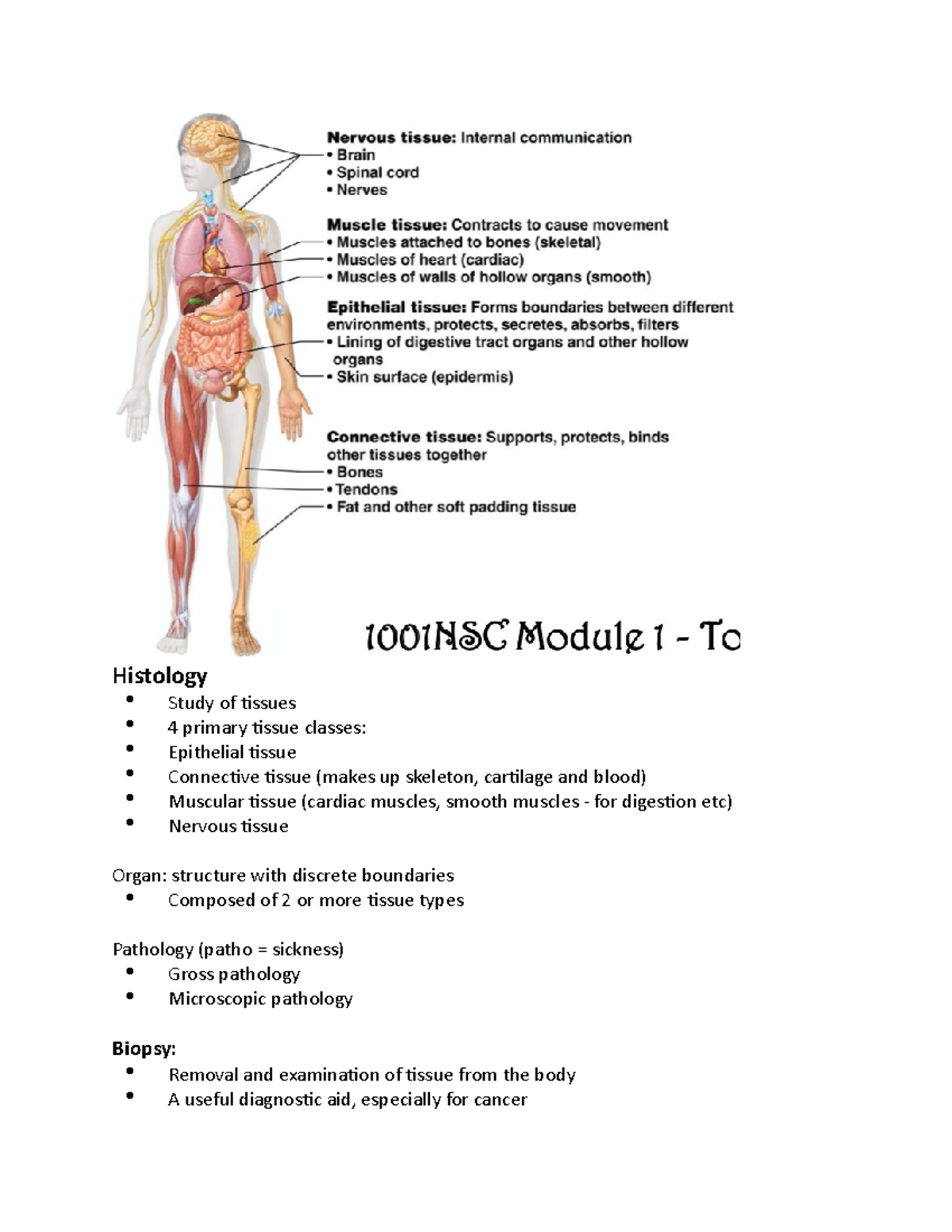 Module 1 - Histology (The study of tissues) - Histology Study of ...