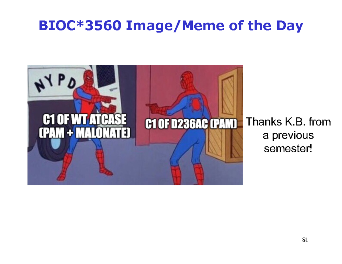 BIOC 3560 Lecture 13 - BIOC*3560 Image/Meme of the Day 81 ####### Thanks K. from ####### a ...