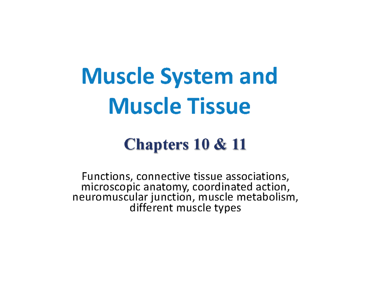 Lecture 7-1 Muscles Tissue I - Muscle System and Muscle Tissue ...