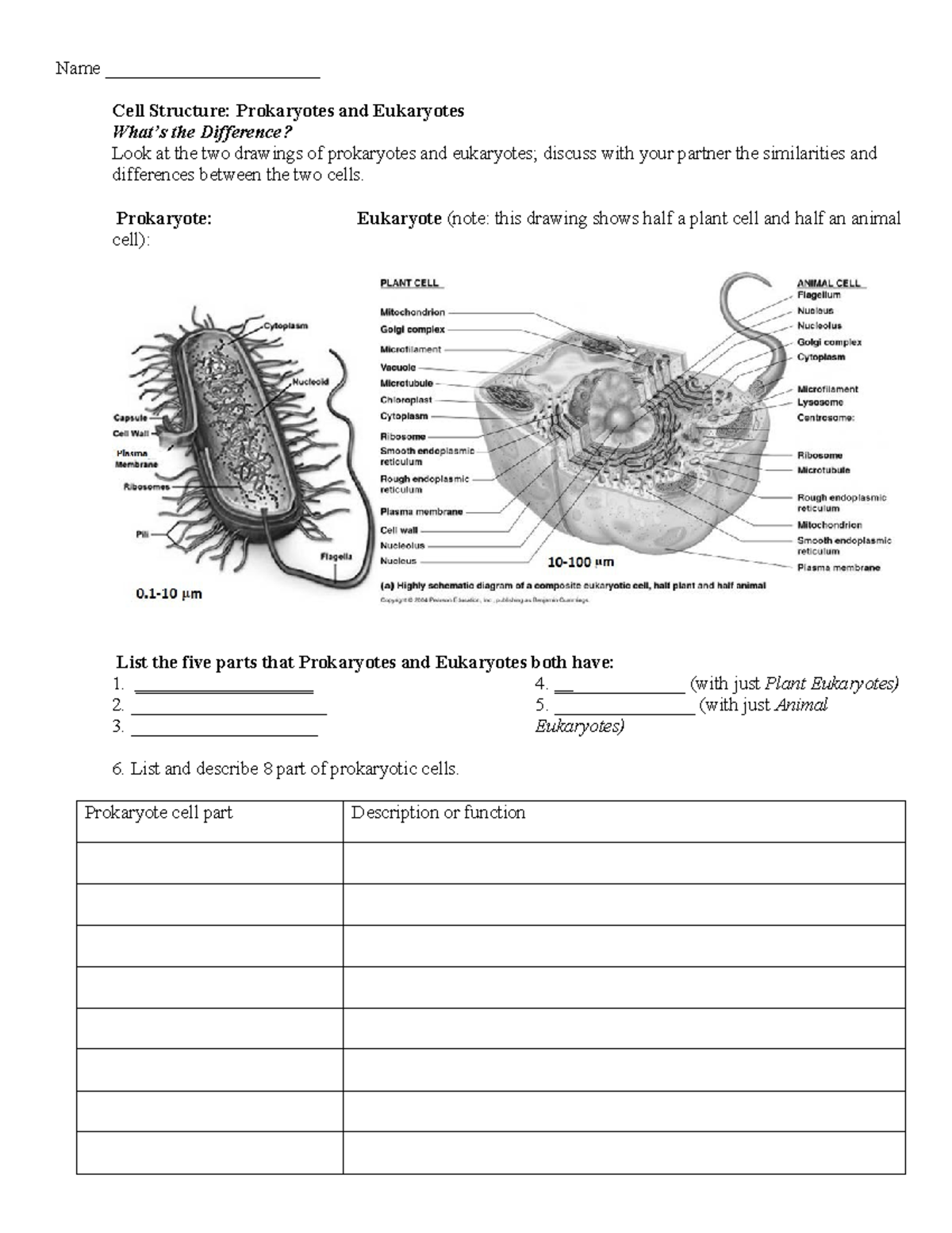 Pro vs Eu worksheet - biology - Name _______________________ Cell ...