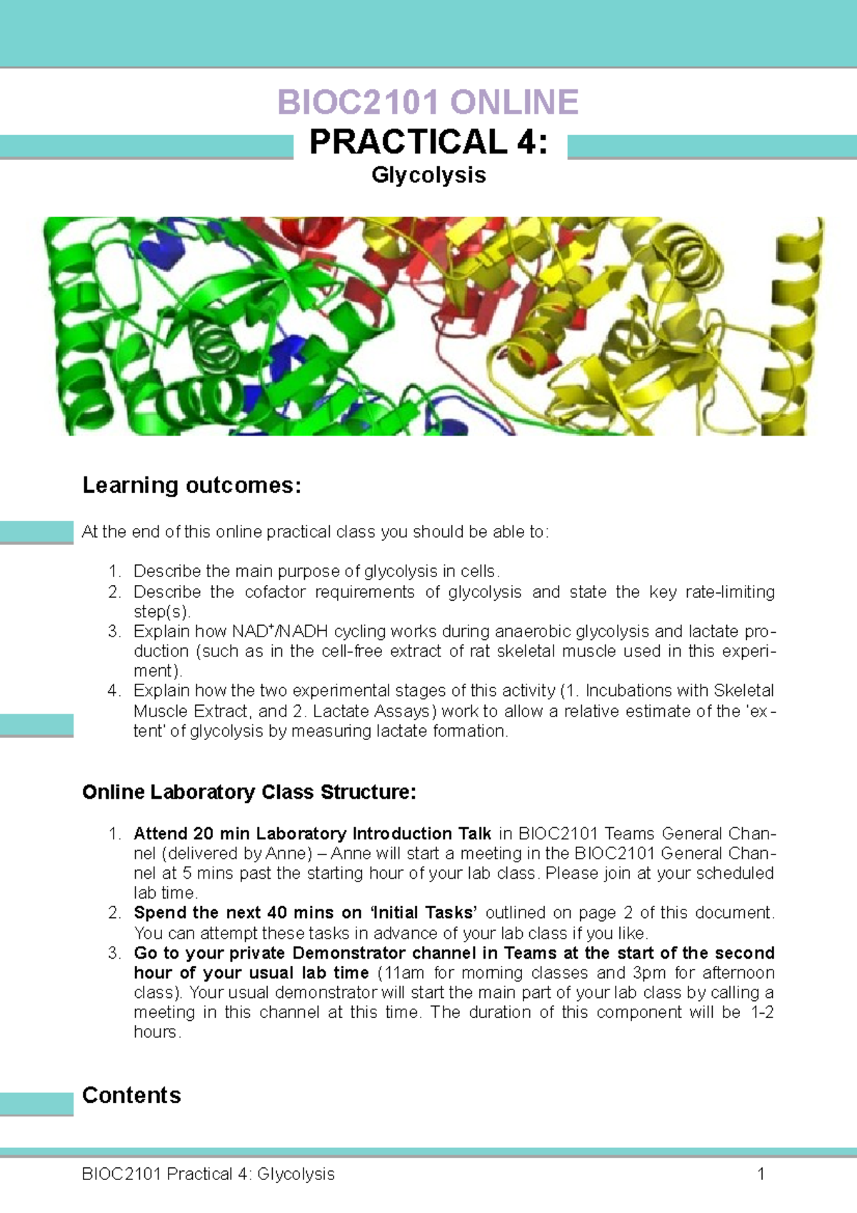 Practical 4 - Glycolysis - BIOC2101 ONLINE PRACTICAL 4: Glycolysis ...