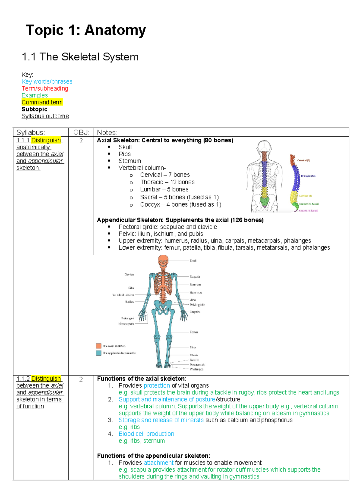 1.0 Anatomy - Topic 1: Anatomy 1 The Skeletal System Key: Key words ...