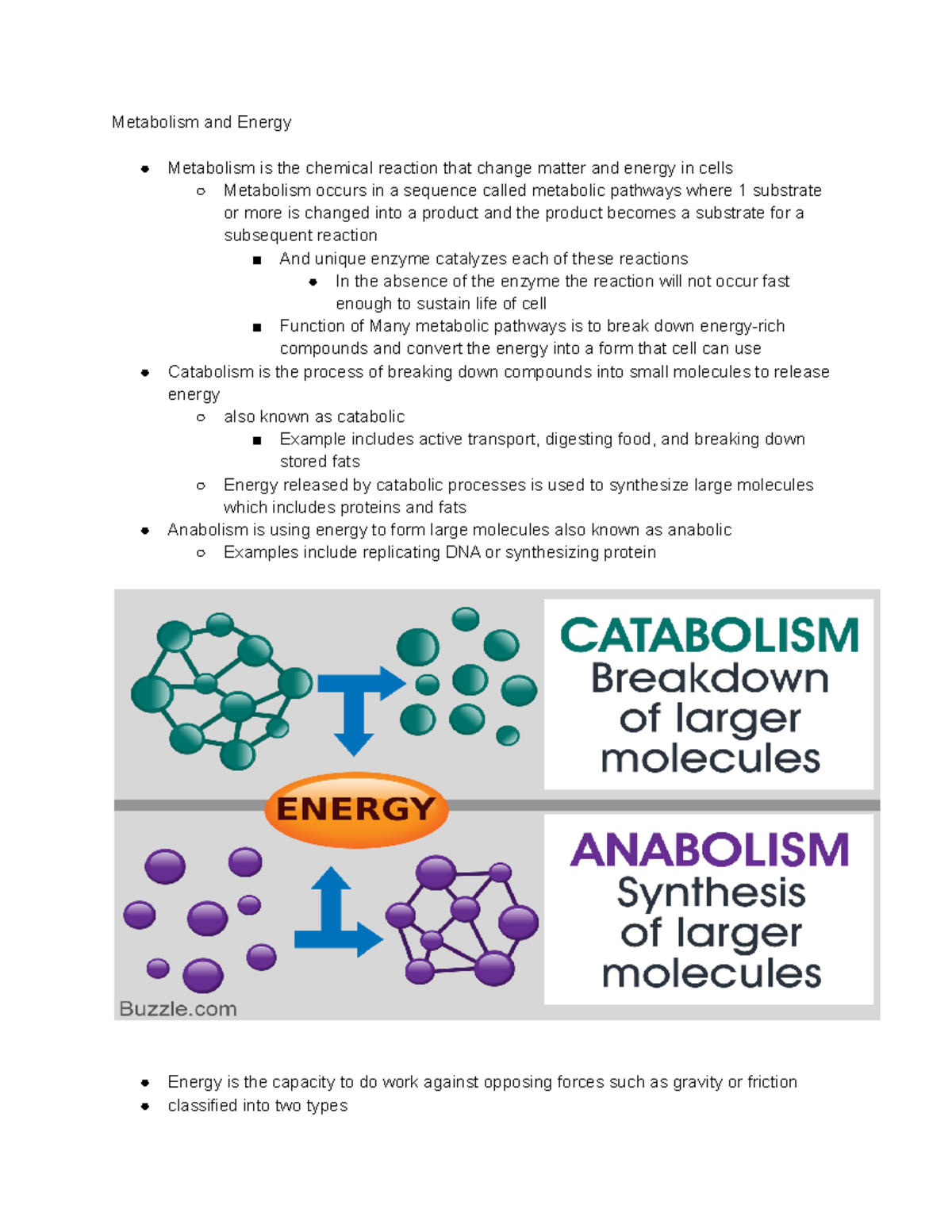 Unit 2 Metabollic Process - Metabolism and Energy Metabolism is the ...