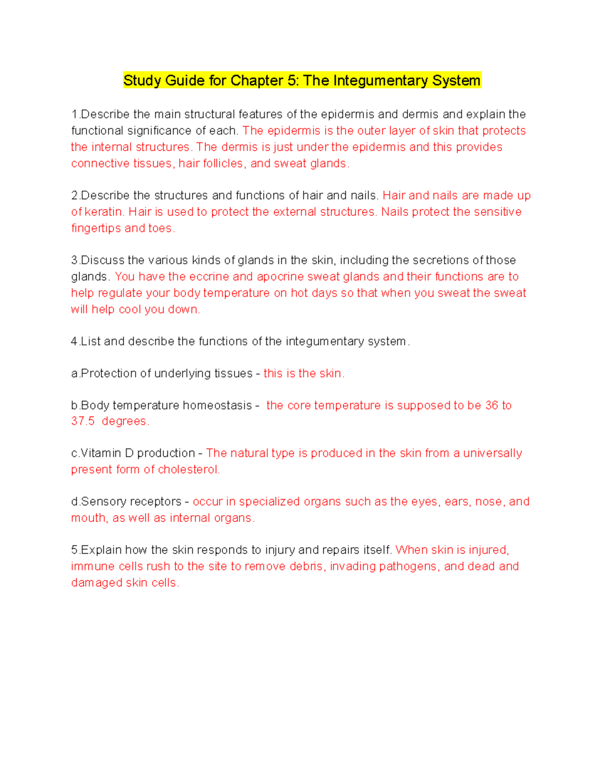 Study Guide for Chapter 5 The Integumentary System - The epidermis is ...