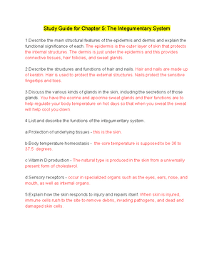Chapter 2 Study Guide-2 - Study Guide for Chapter 2: The Chemical Level ...